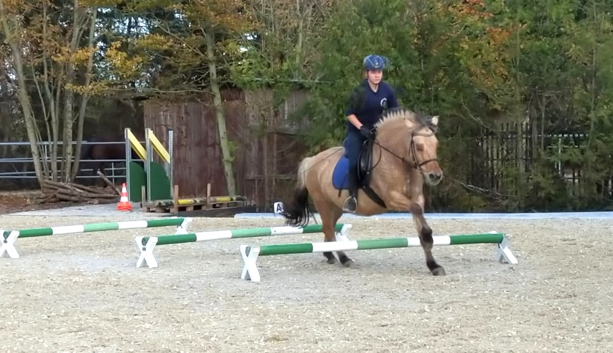 Cavaletti-Kurs – Reitschule Erfurt